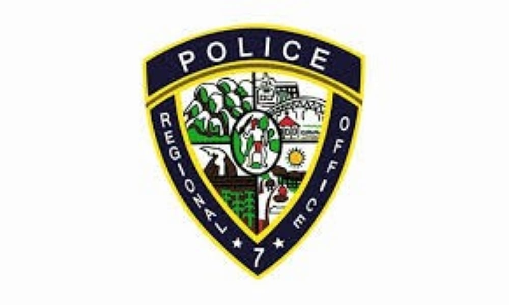 High-ranking police officials named in Degamo Senate inquiry