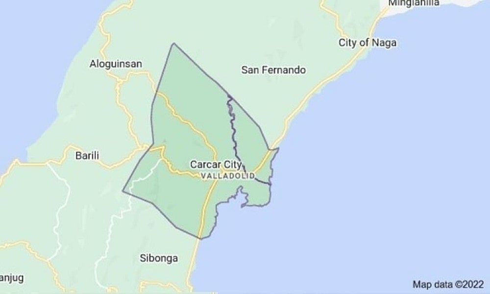 2 kids in Carcar City escape alleged abduction attempt