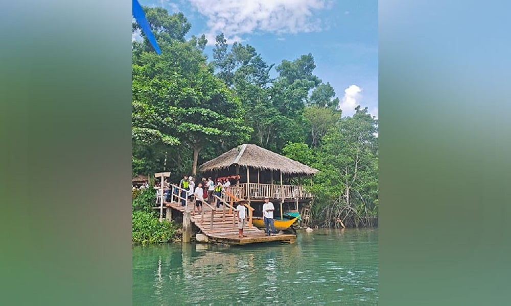 Dolphins to be Aloguinsan's new attraction
