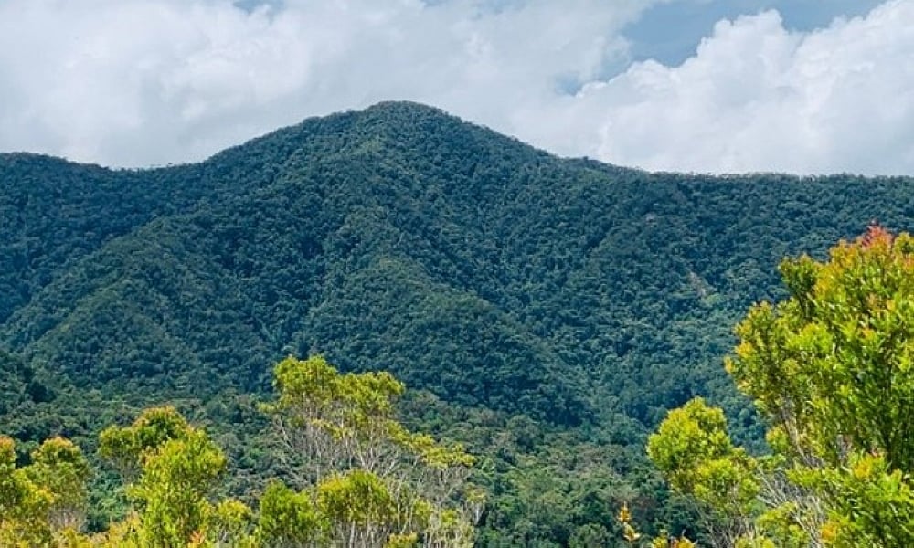 Pantaron Range as protected area