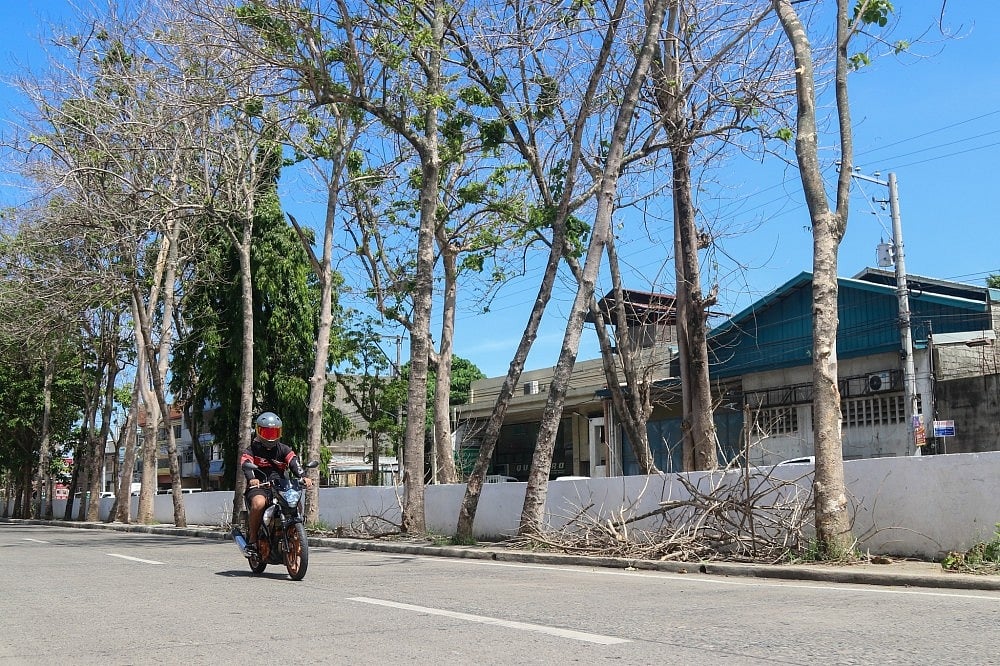ASU: Dacudao creek cleared of fallen trees