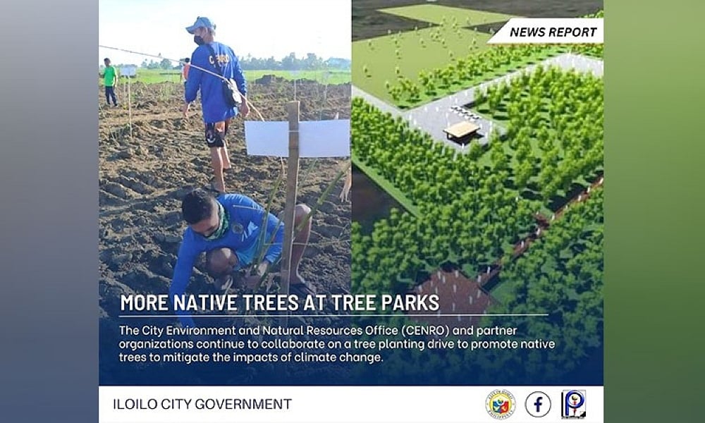 More native trees at Iloilo tree parks