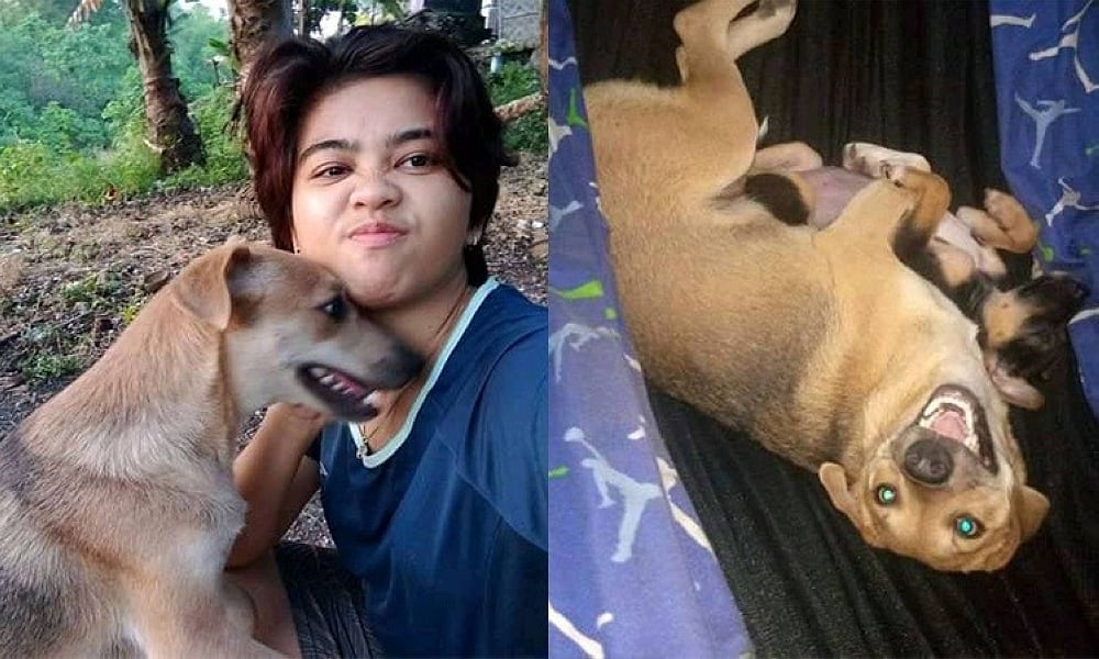 Butchered dog's owner calls for justice