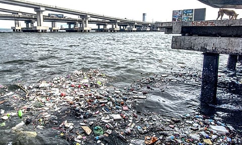Single-use plastics, dumpsites,poor waste handling cause ocean ...