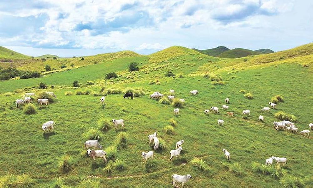 Finding peace in Ubay, Bohol