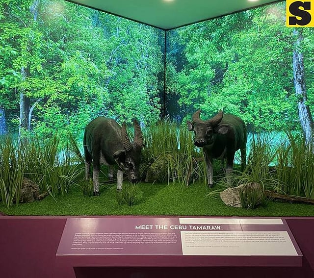 FIRST LOOK: National Museum of the Philippines-Cebu