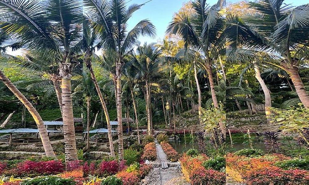 Discover the Beauty of Agbalanga Granja Ecologica and Spring Resort in ...