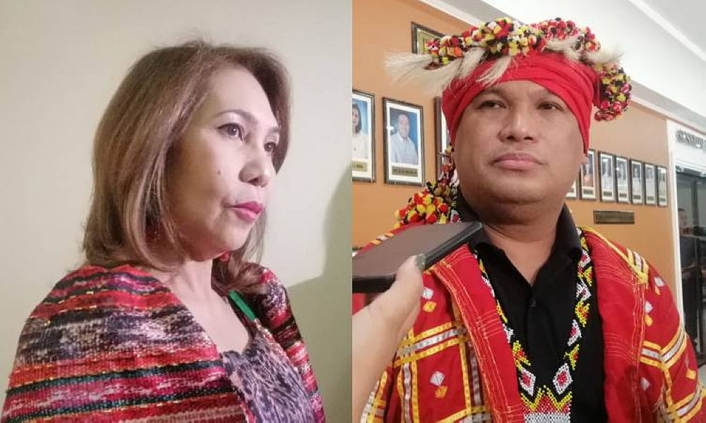 2 Councilors don IP attire during SP session