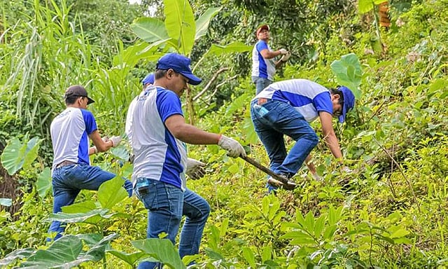 CCLEC holds tree planting drive in barangay Kalunasan, Cebu City