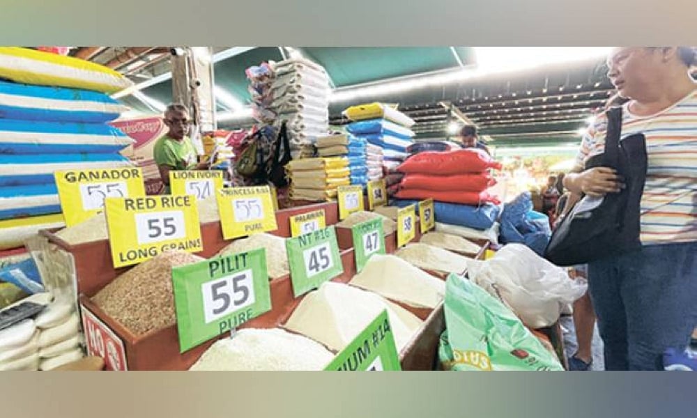 Sustainable Livelihood Program to Provide Cash Aid to Small-Scale Rice ...