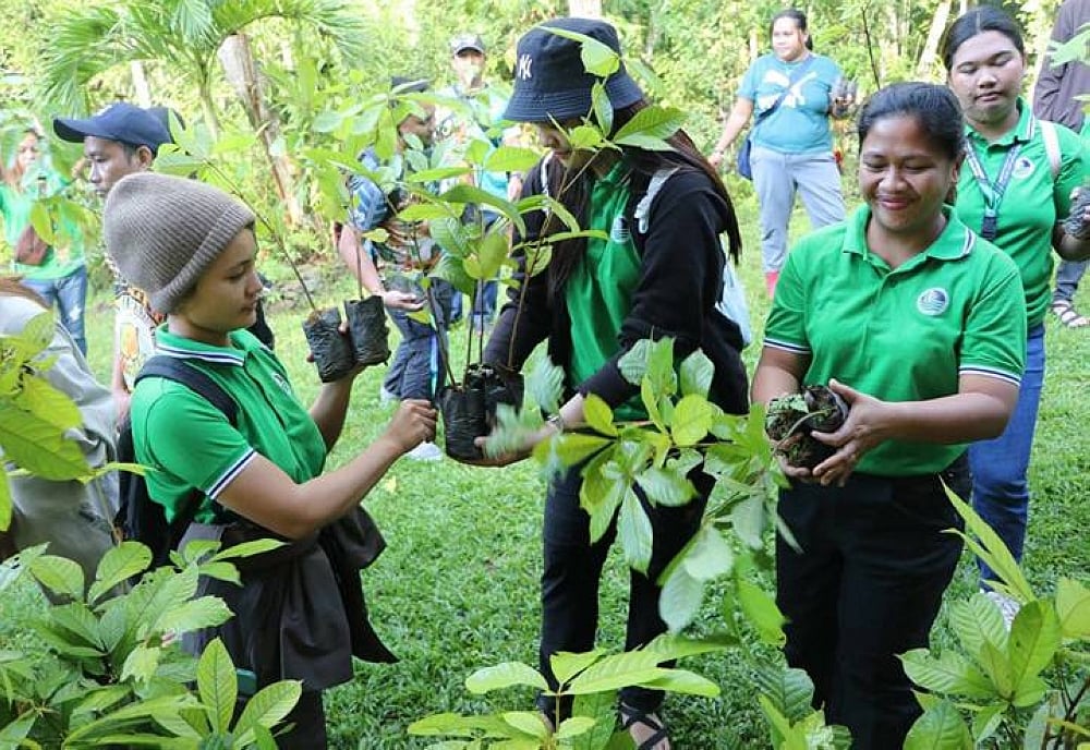 DENR leads simultaneous bamboo, tree planting