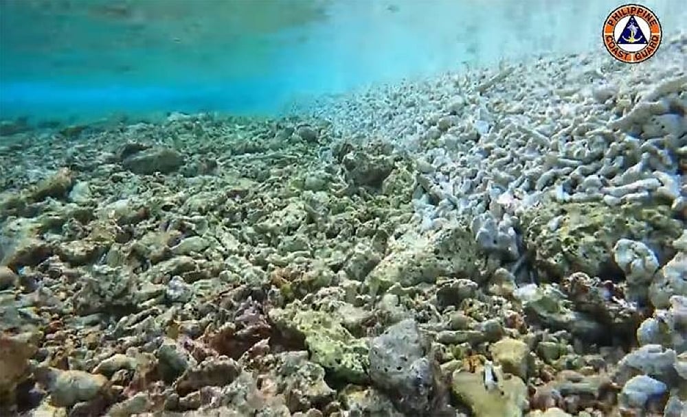 ‘Severe damage’ noted in coral reef, marine environment in Rozul Reef ...