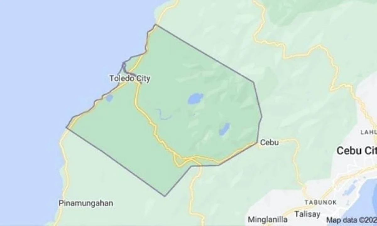 Bata nahulog sa punoan sa santol, patay Bata nahulog sa punoan sa santol, patay