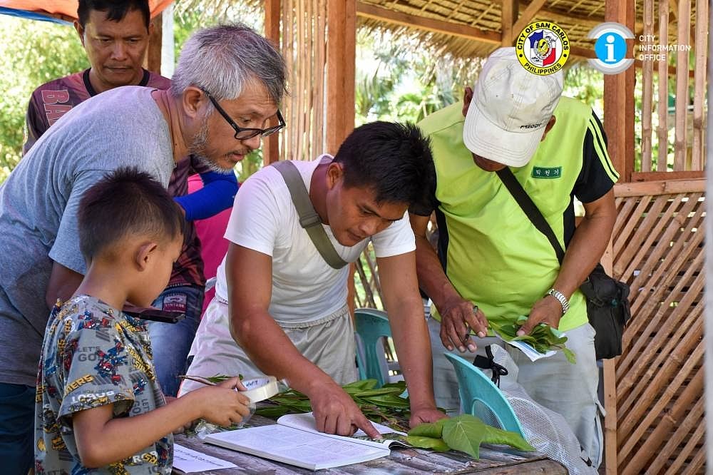 Sipaway Island workers map mangroves, beach fauna