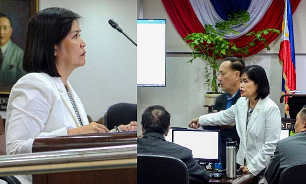 Seares: Kons de los Santos says Cebu City's 2014 half-rice ordinance ...