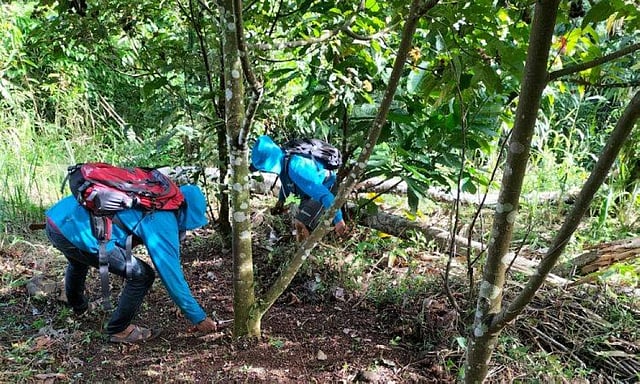 Nurturing Panigan-Tamugan watershed
