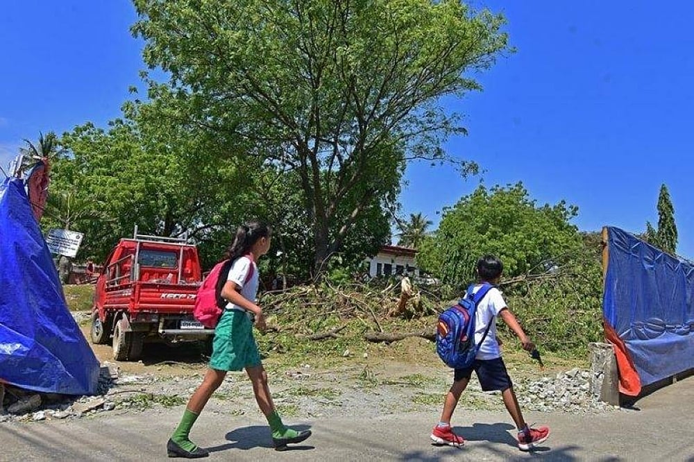 DENR-RPAO: Cut trees with permits