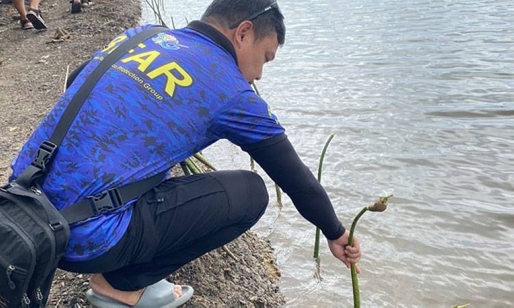 Fish conservation week marked with mangrove planting