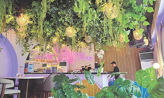 Tagu Cafe & Bar: A Daytime Retreat and Nighttime Escape