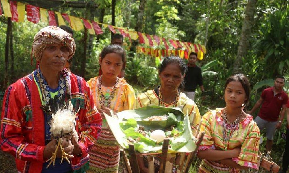 SMB's 14th Trees Brew Life plants over 600 seedlings