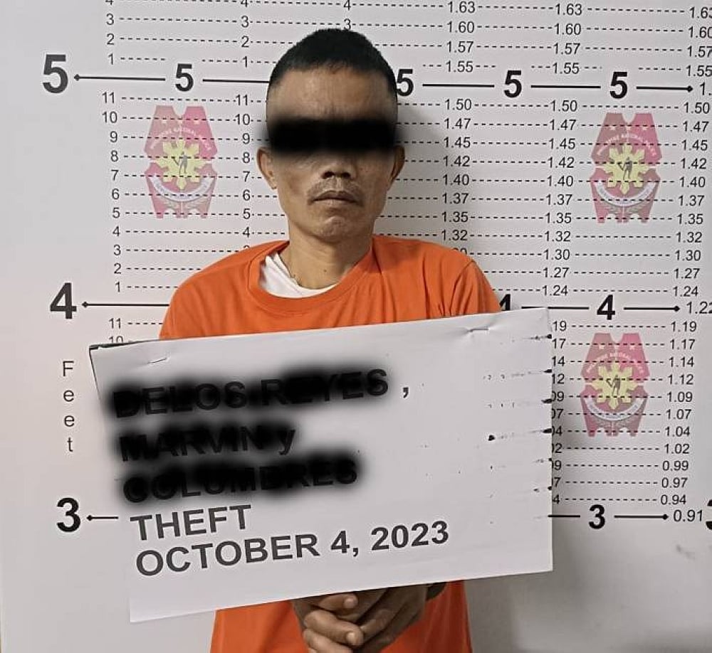 Security guard arrested for theft