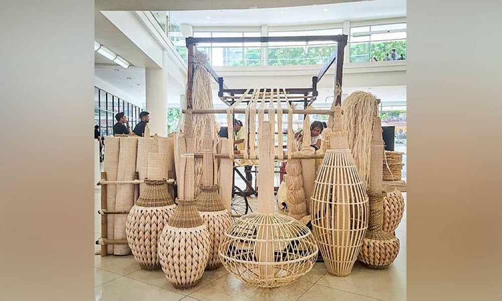 Design of nature: Bamboo’s resilience