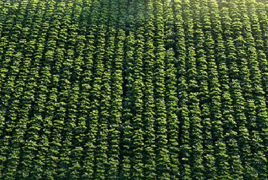 ADAFSA Empowering Farmers to Adopt Sustainable Practices and Support ...