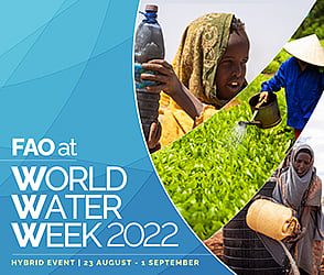 World Water Week 2022 Begins Today at Stockholm