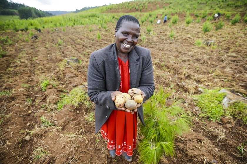 Why do Forests Matter?