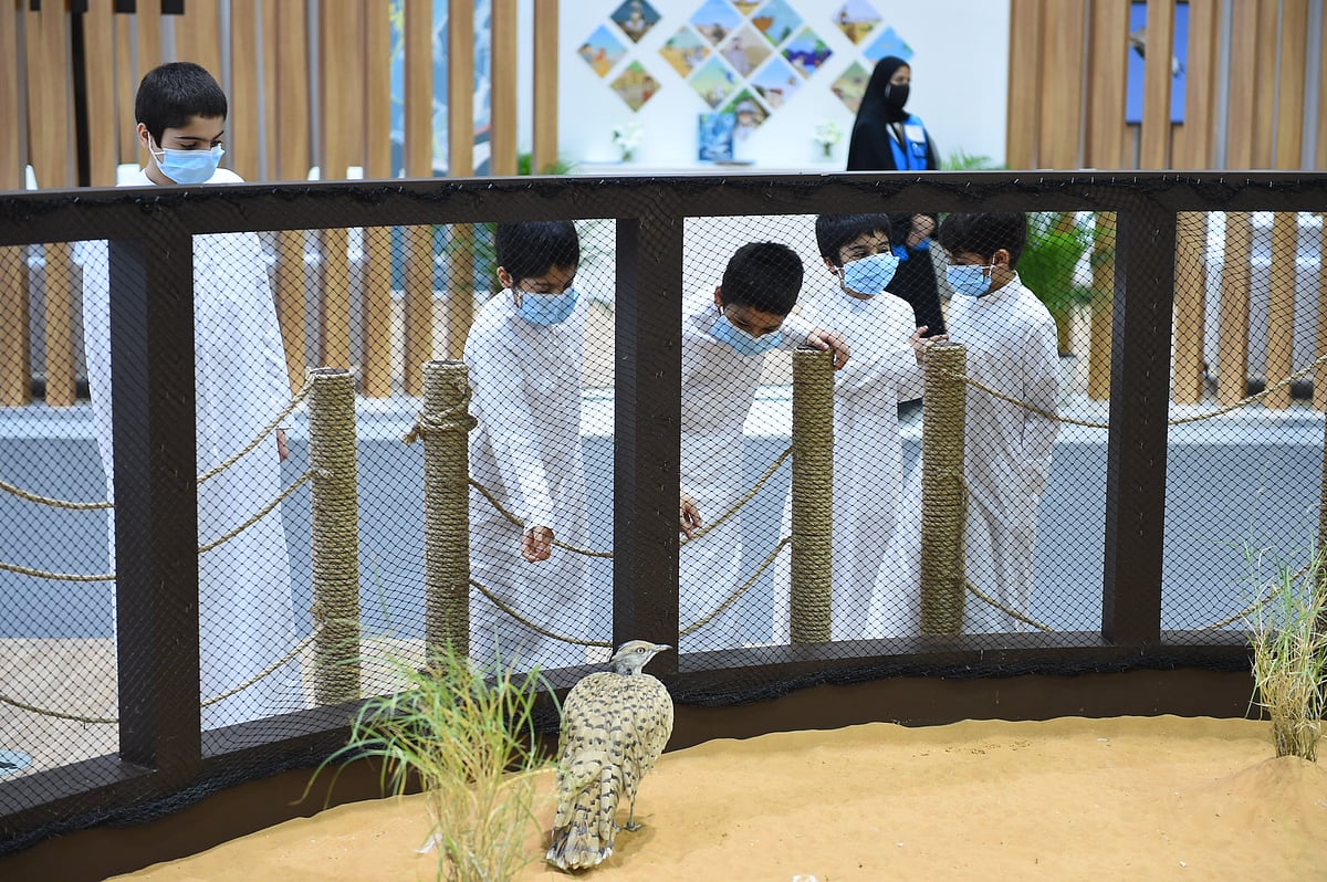 IFHC Augments Sustainability Efforts in Protecting Arab Heritage