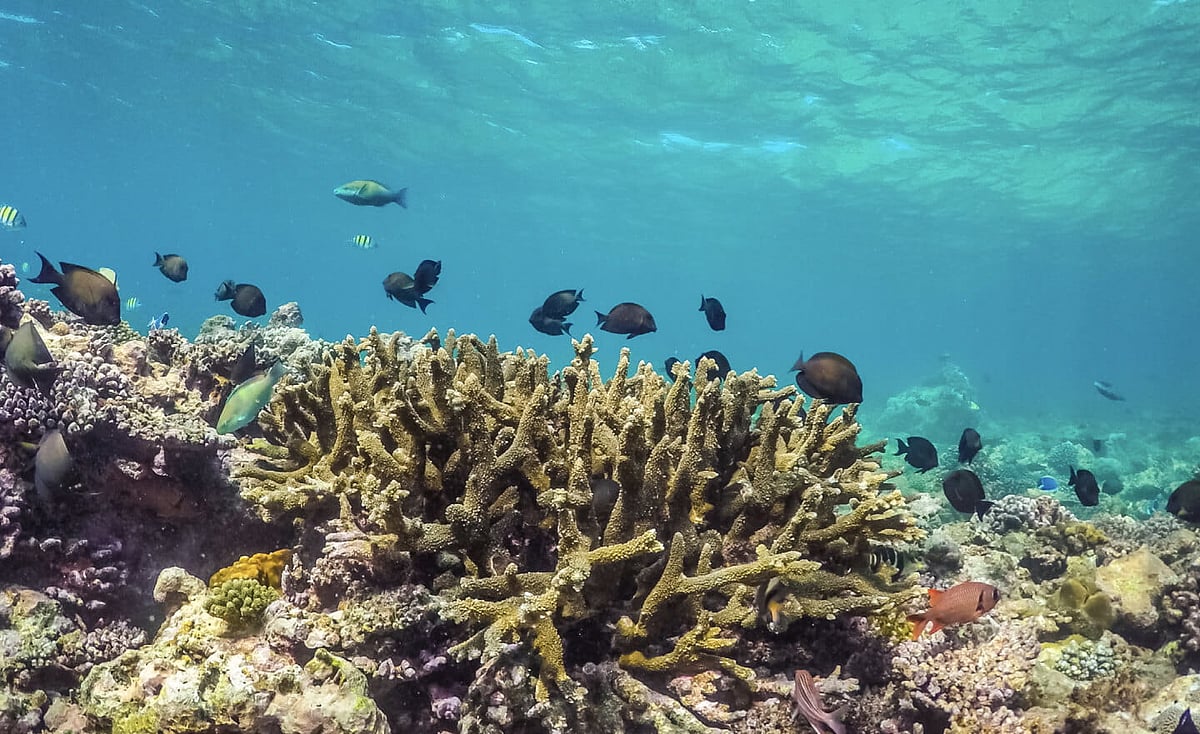 AD Ports Group Commits to Sustainable Approach in the Development of ...