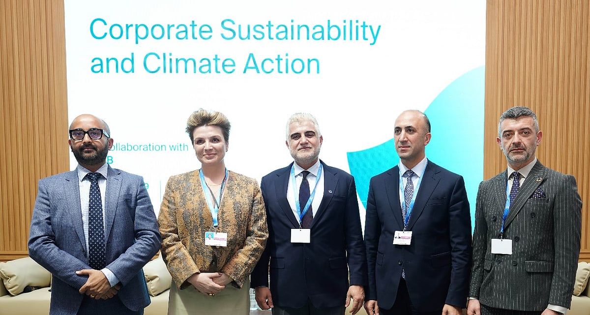 COP29: Corporate Sustainability Panel held at COP29 Green Zone
