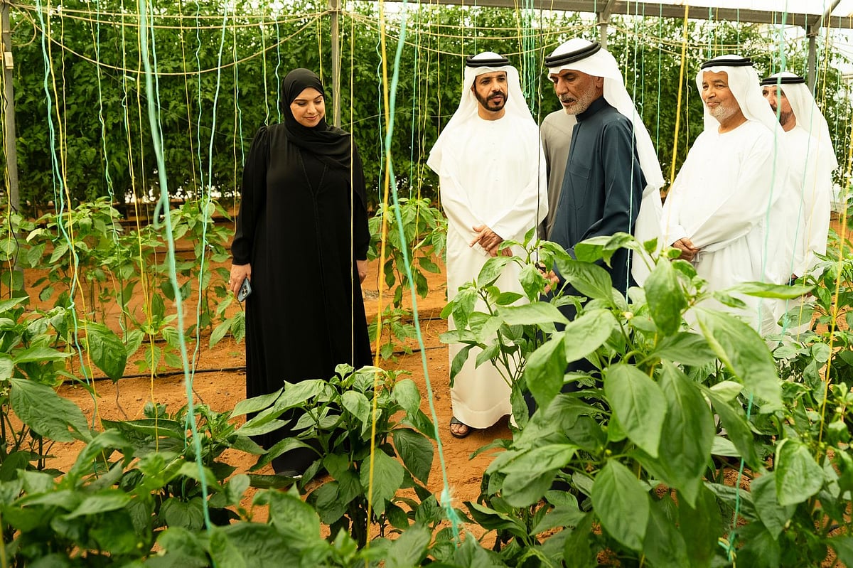 UAE Minister Highlights Success of "Plant the Emirates" Programme to ...