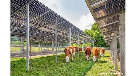 Europe’s Largest Agrivoltaics Project To Sport 753 MW Capacity
