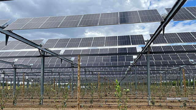 Solar Trackers For Agrivoltaics
