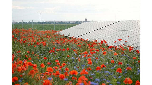 Europe Solar PV News Snippets