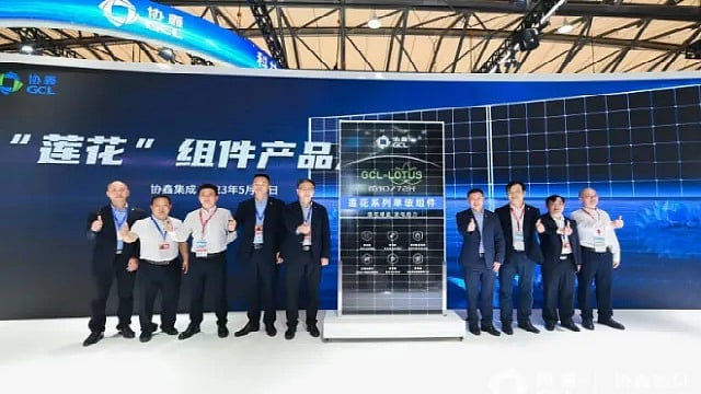 China Solar PV News Snippets - March 11, 2025