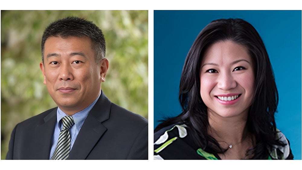 Julia Xu Appointed Interim CEO In Emeren’s CEO Transition