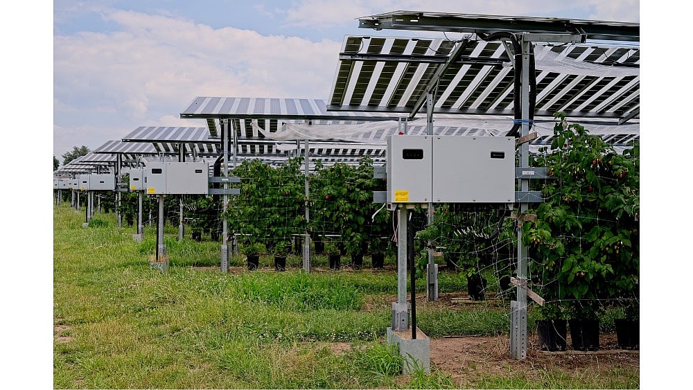 Greece To Promote Agrivoltaics; Invites Applications