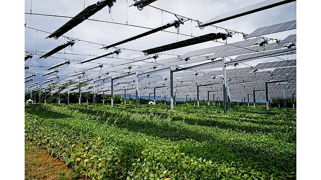 India Solar PV News Snippets