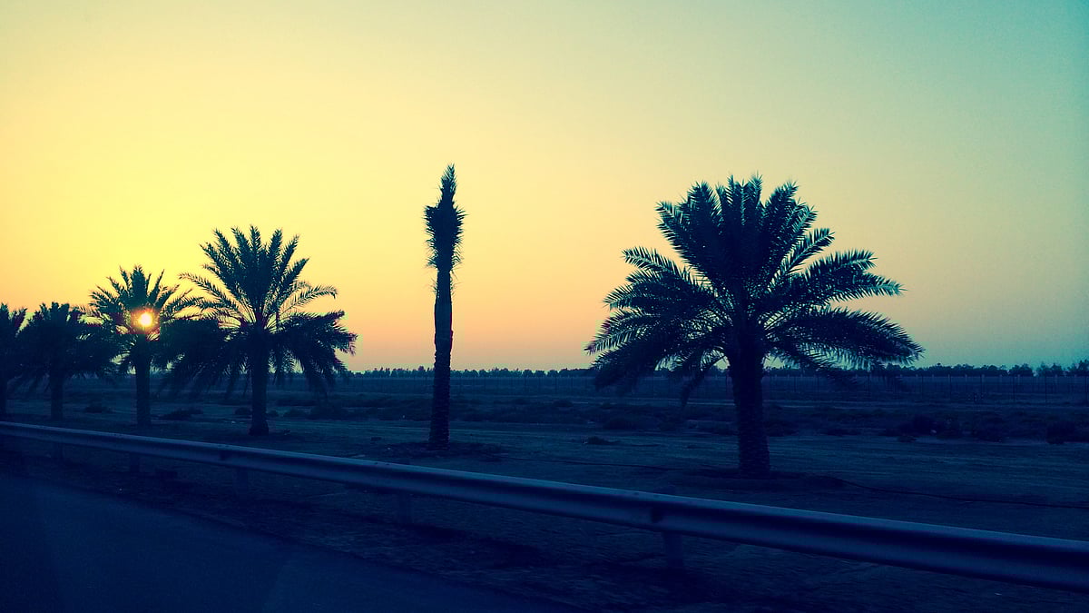 Saudi Arabia Launches 300 MW Tender