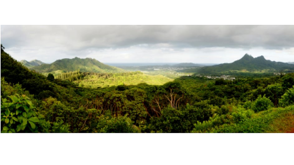 Sunrun Bags Virtual Power Plant Deal In Hawaii