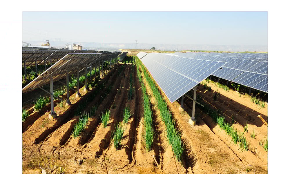 NTPC Tender For 300 MW Solar Power