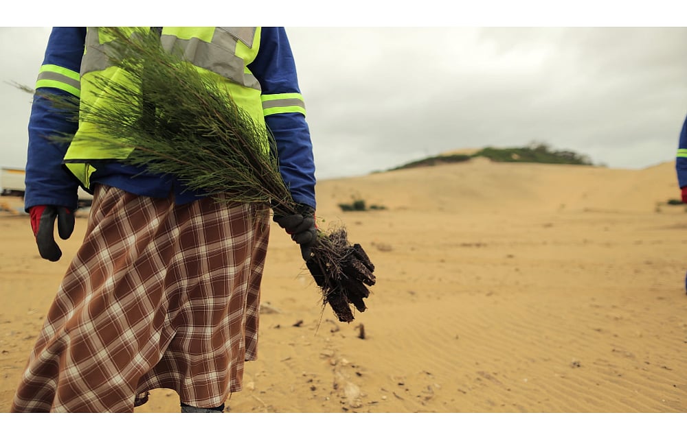 Corporate Solar PPA For 148 MW Signed In South Africa