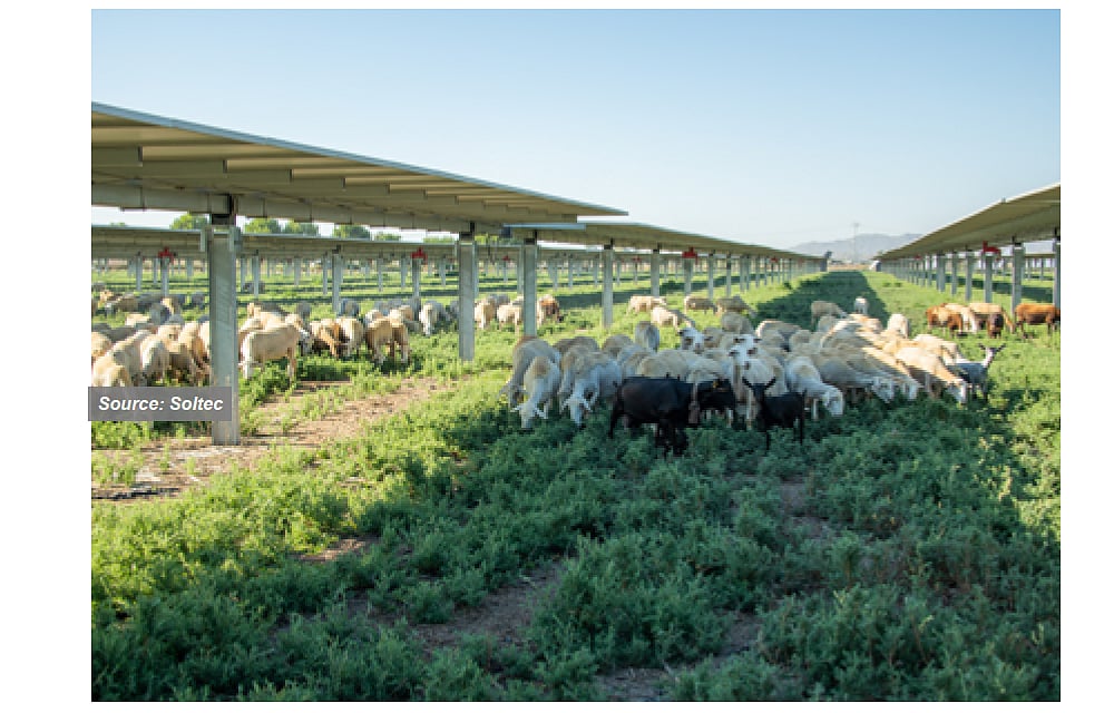 Soltec’s SF7, SF8 and SFOne Solar Trackers