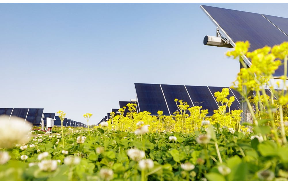 Lightsource BP Launches New Collective PPA Framework