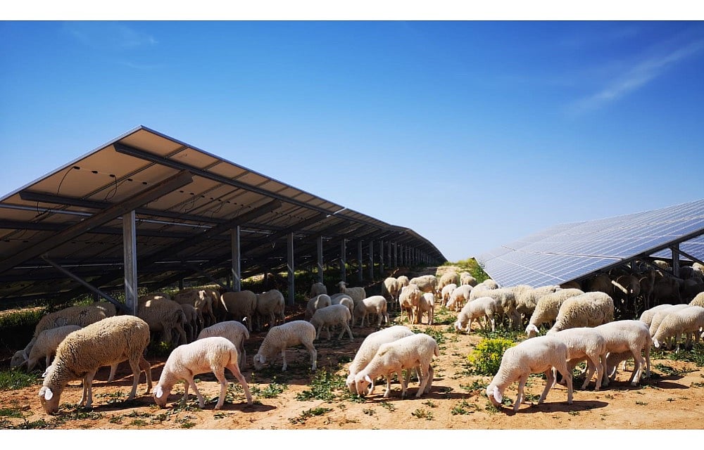 Norges Bank Fund Increases RE Investment In Iberia