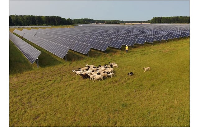 Dominion Energy Secures Green Signal For 764 MW New Solar