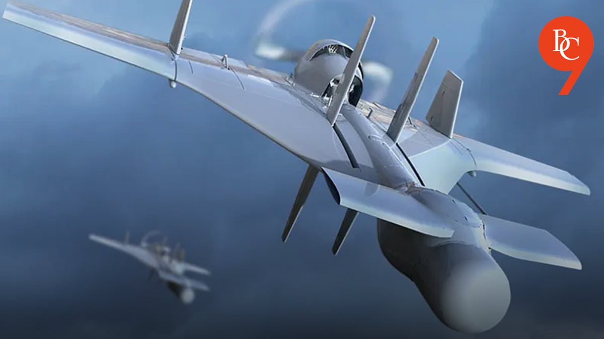 Harpy Drone: Features, Price, and Impact of India’s Strike on Pakistan