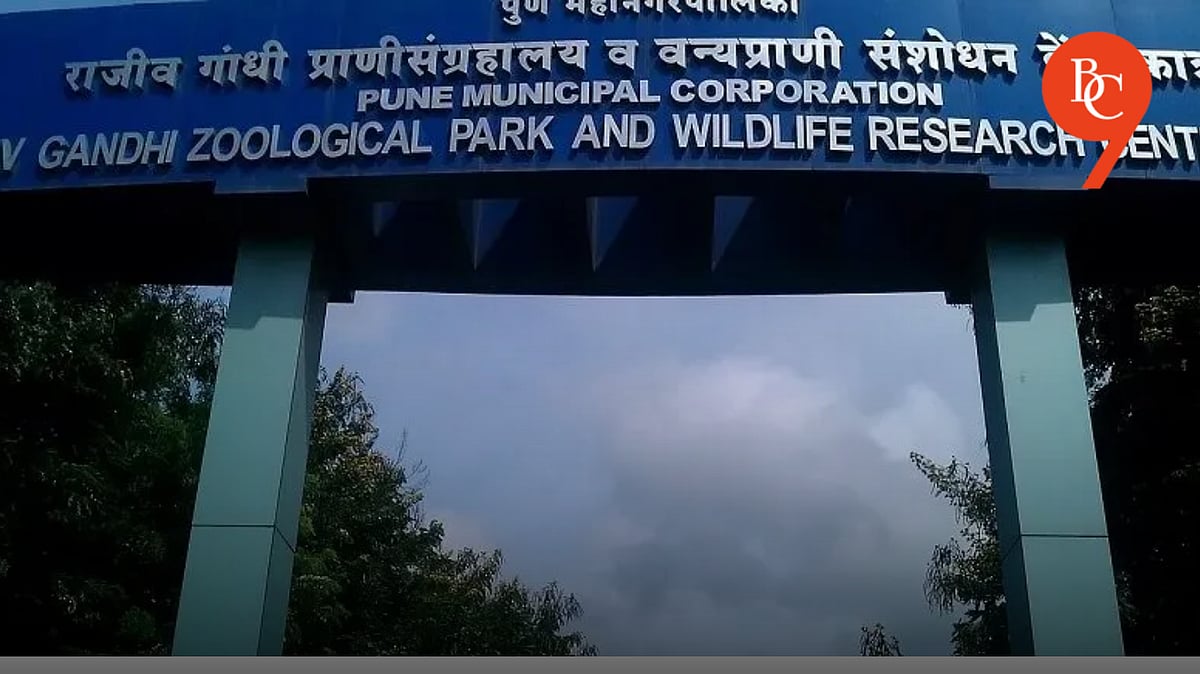 Katraj Zoo Achieves Historic Milestone with Successful Breeding of Rare ...